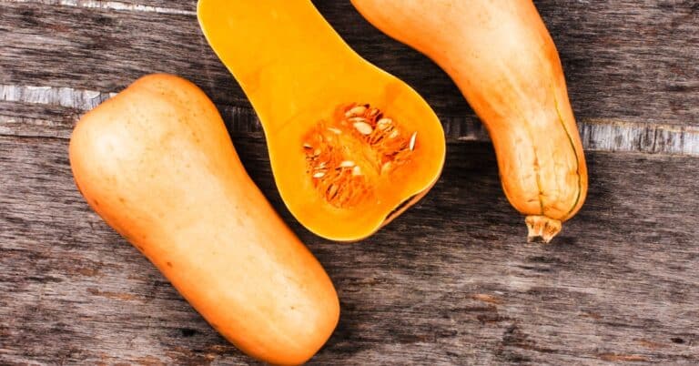 11 nejoblíbenějších druhů dýní | Hobbio.cz